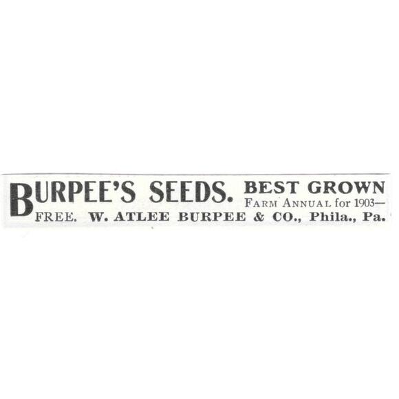 None and/or Unknown | Accents | Burpees Seeds W Atlee Burpee Co ...